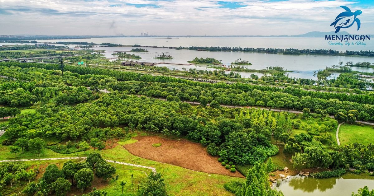 TOP 4 Conservation Area in Bali - Menjangan Snorkeling Trip & Diving